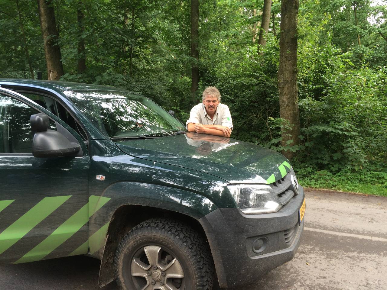 Pas op voor hitsige reeën | BNR Nieuwsradio