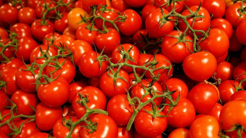 Het zaad speelt een belangrijke rol bij de tomaat | BNR Nieuwsradio